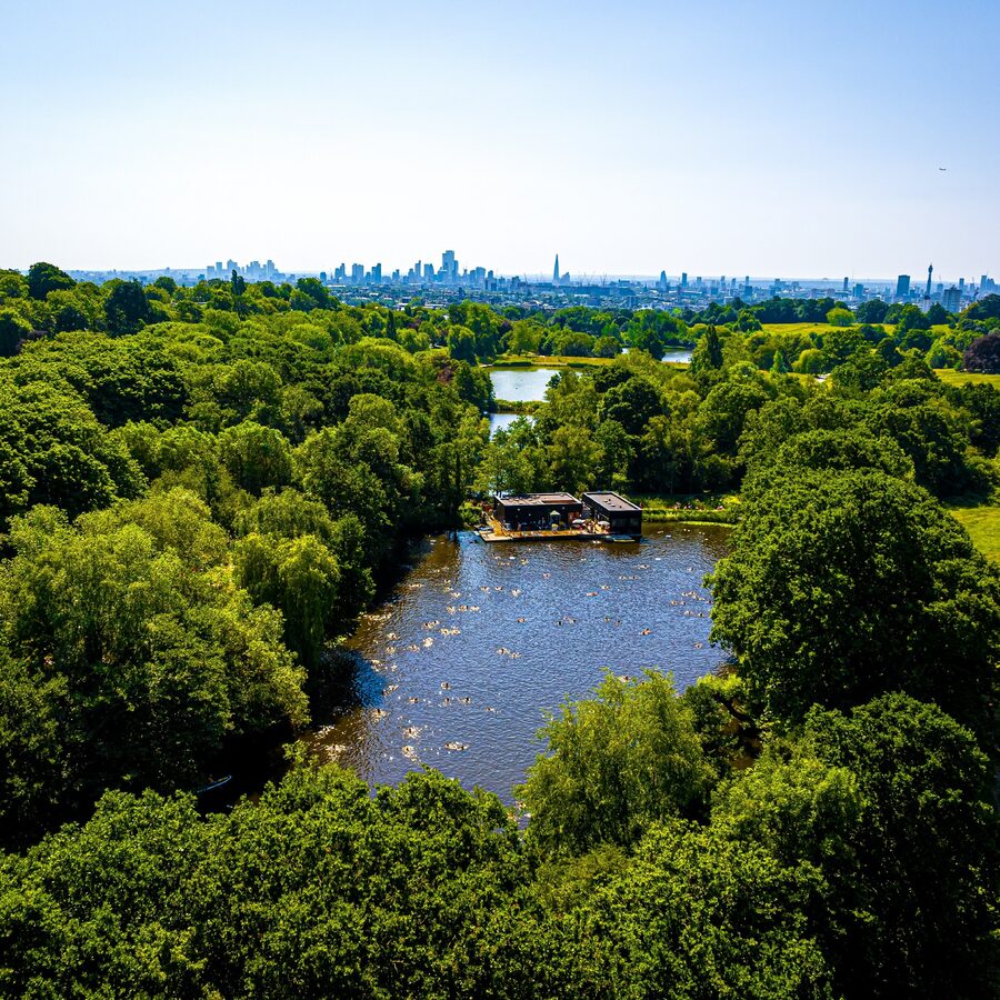 Hampstead Heath in All Seasons